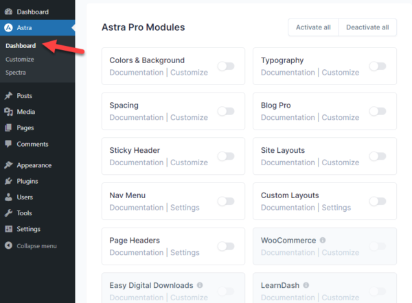 Astra WordPress Theme Review + Ultimate Guide 2025
